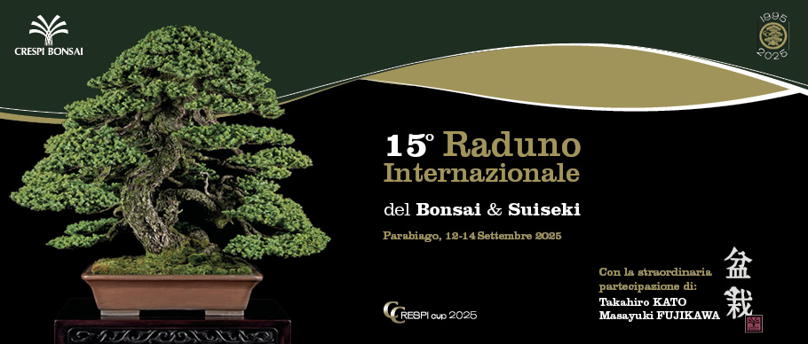 Crespi Cup 2025 - Crespi Bonsai